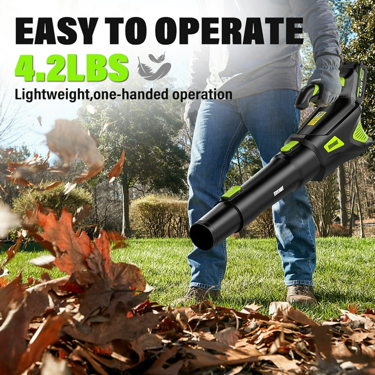 Lightweight battery operated leaf blower store