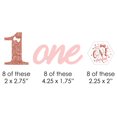 Big Dot of Happiness 1st Birthday Little Miss Onederful - Paper Straw ...