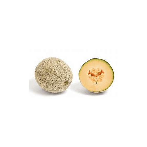 Melon Honey Rock Great Heirloom Vegetable by Seed Kingdom Bulk 1 Lb ...