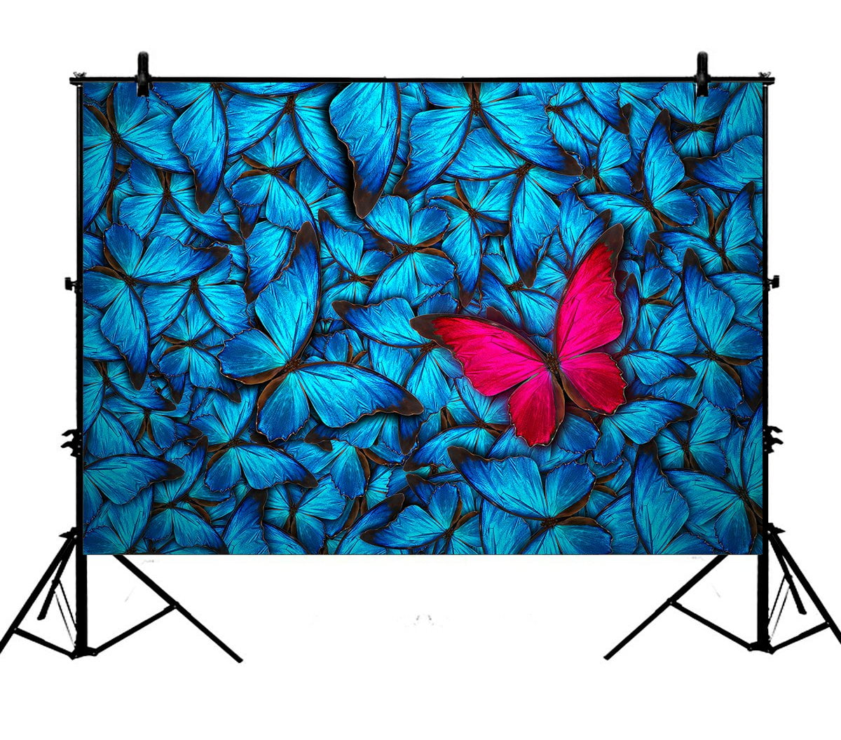 PHFZK 7x5ft Animal Backdrops, Beautiful Butterflies Blue Red ...