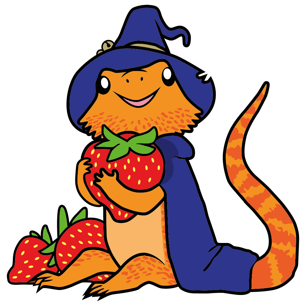 Orange Iguana Armadillo Lizard Strawberry Blue Witch Hat & Cape Outfit ...