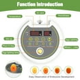 Free Shipping! Incubators for Hatching Eggs, 18 Egg Incubator with ...