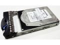 IBM 00W1156 Hard drive - 300 GB - hot-swap - 2.5 inch - SAS-2 - 10000 ...