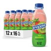 Snapple Juice - Variety Pack with Apple, Watermelon, Lemonade Flavors ...