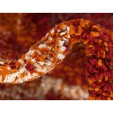 Unique Loom Indoor Rectangular Distressed Modern Area Rugs , 2' 0 x 3 ...