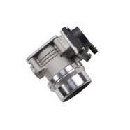 FAST Throttle Body LSX 102MM - Walmart.com