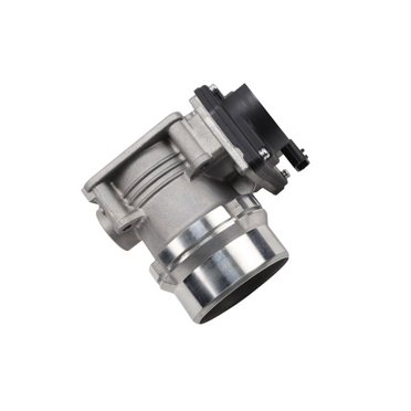 FAST Throttle Body LSX 102MM - Walmart.com