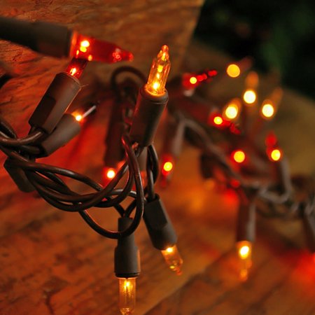 Outdoor String Lights Harvest Cluster String Lights 150 mini lights ...