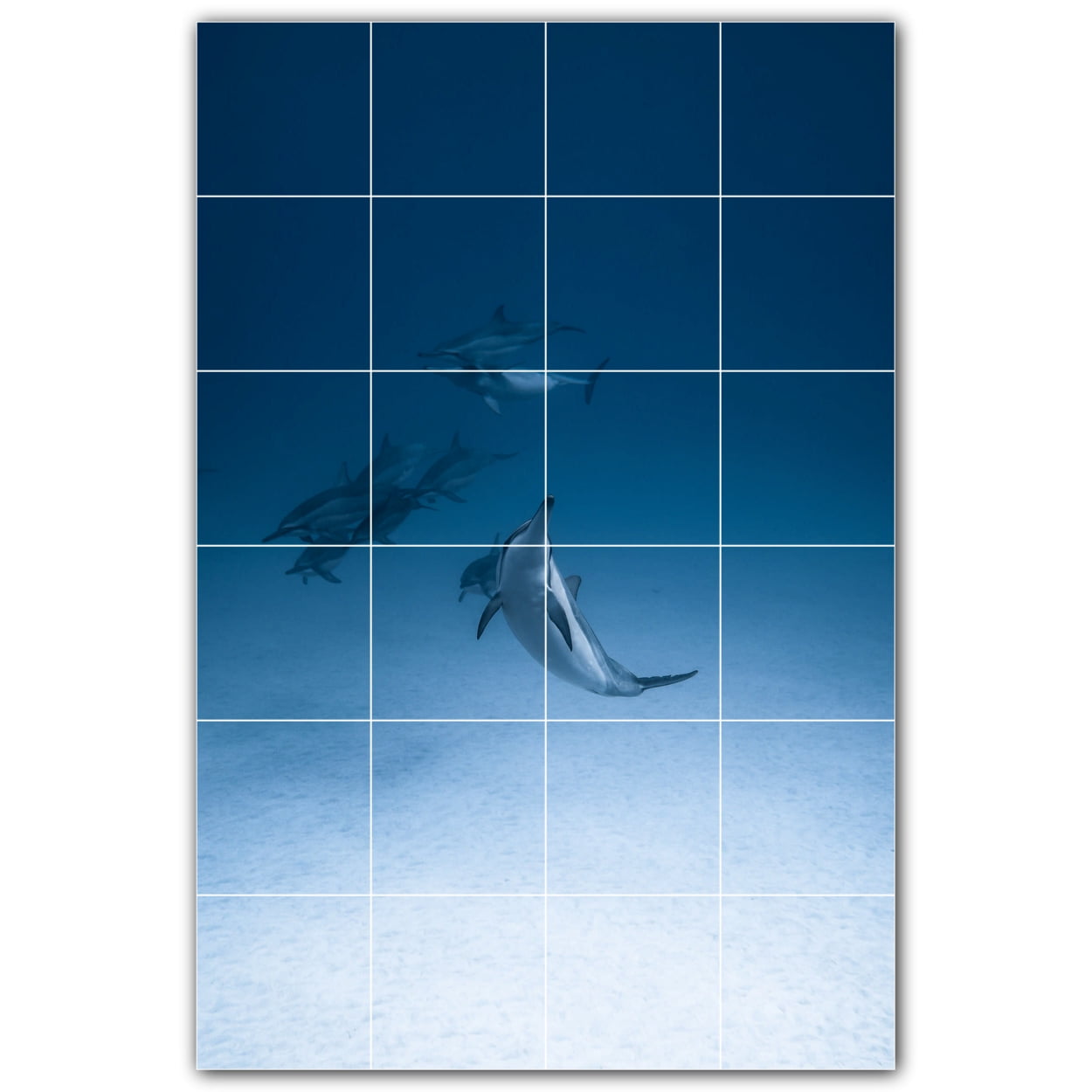 Picture-Tiles.com: Dolphin Ceramic Tile Wall Mural WAL500513-46M. 24"W ...