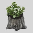 Artificial Driftwood Succulents Planter Rustics Cactus Flower Pots for ...