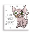 3drose, Sphynx Cat I Am Really Sorry, 10x10 Wall Clock - Walmart.com