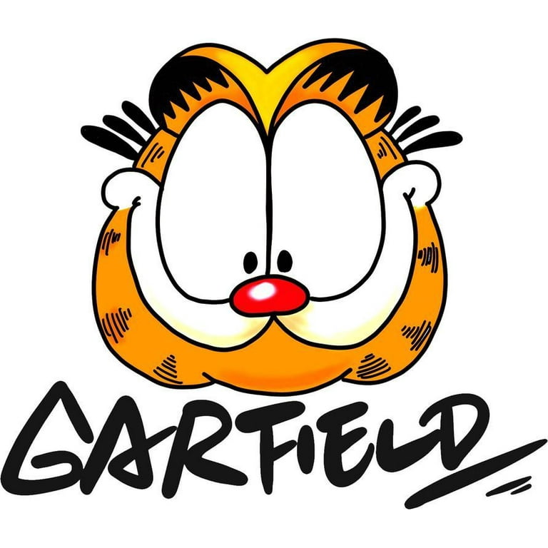 Garfield Face Comic