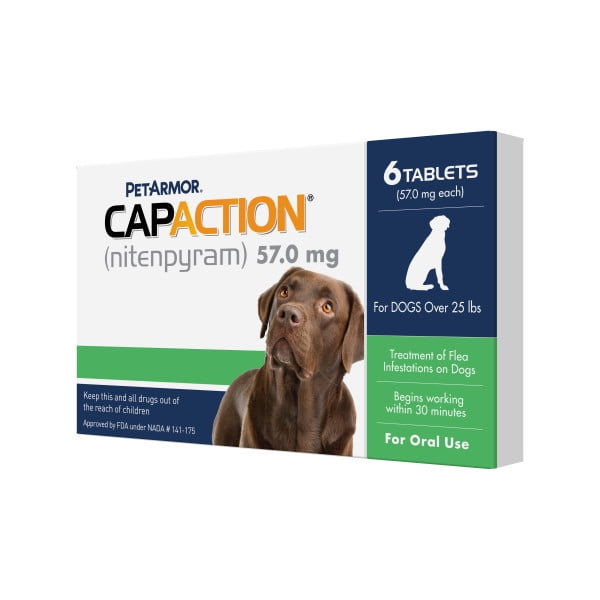 How To Treat Fad In Dogs
