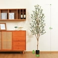 DLD 6ft Artificial Olive Plants with Realistic Leaves and Natural Trunk ...