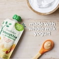 Beech-Nut Smoothie + Prebiotics for Toddlers, Banana Mango Psn Fruit ...
