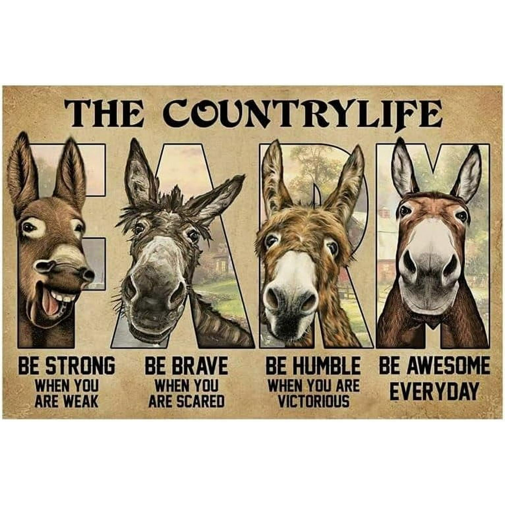 Click here for Hansgo Metal Tin Sign Vintage Donkey Decor Life Is... prices