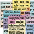 Poster Pals French Educational & Language Teaching Adjective Vocabulary ...