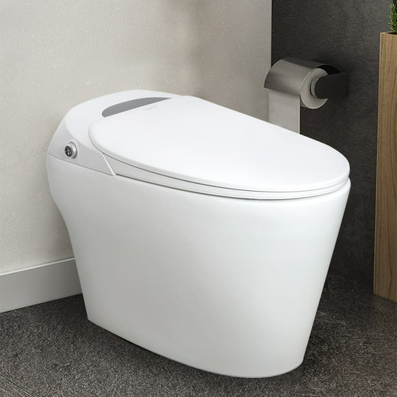 19 Inch High Toilets