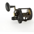 Fathom Lever Drag 2 Speed Conventional Fishing Reel - Walmart.com