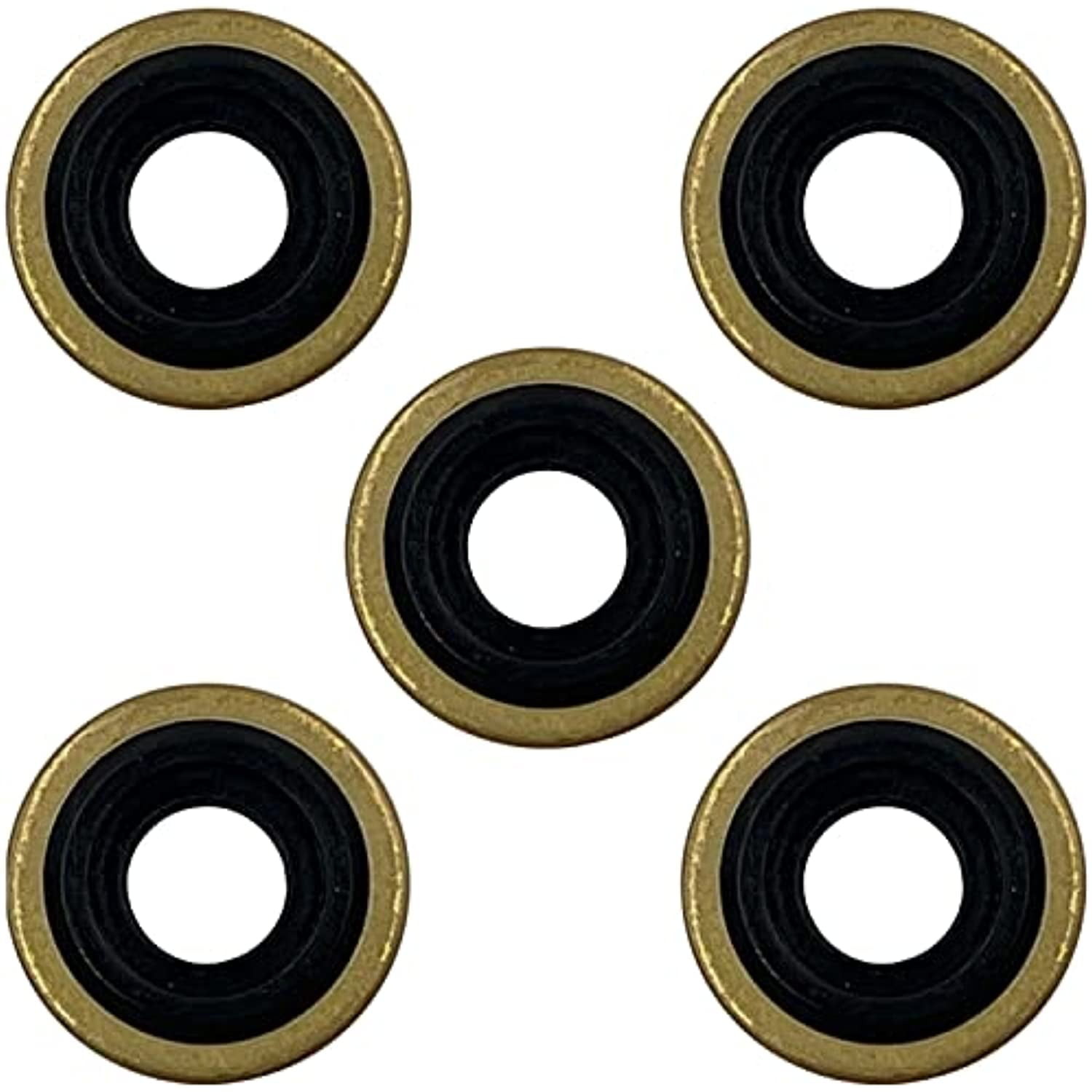 5pk ResOne Oxygen Regulator Yoke Washer Seals #YW-100-5 - Walmart.com