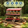 Galvanized Steel Chicken Nesting Box with Roll Away Egg Collection – 8 ...