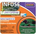 Bonide 16oz. Infuse Disease Control Concentrate - Plant Remedy, Flower ...