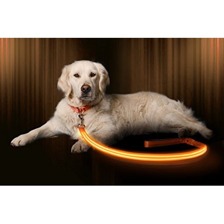 LED Dog Leash - USB Rechargeable - Your Dog Will Be More Visible & Safe ...