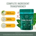 Collagen Powder Supplement by Primal Harvest - 30 Servings - Walmart.com