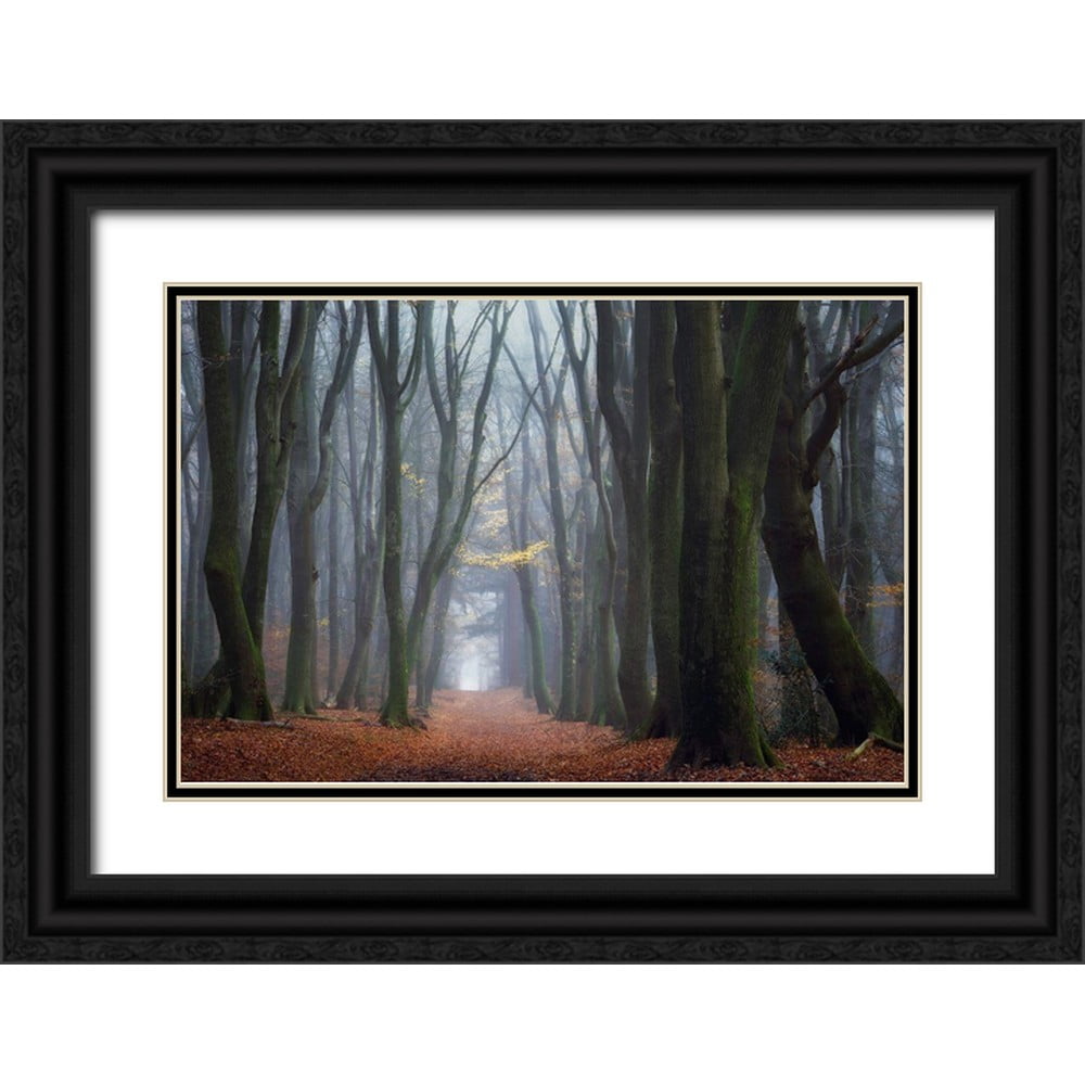 Borggreve, Ellen 14x11 Black Ornate Wood Framed with Double Matting ...
