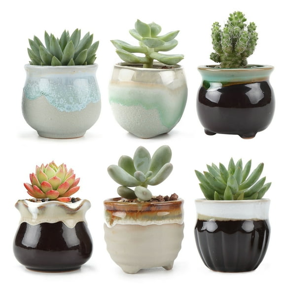 2 Inch Pots