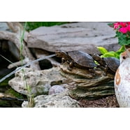 Elegant Verdigris Koi Decorative Pond Statuary Fountain Spitter ...