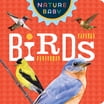 Birding for Babies: Migrating Birds: A Colors Book, (Board Book ...