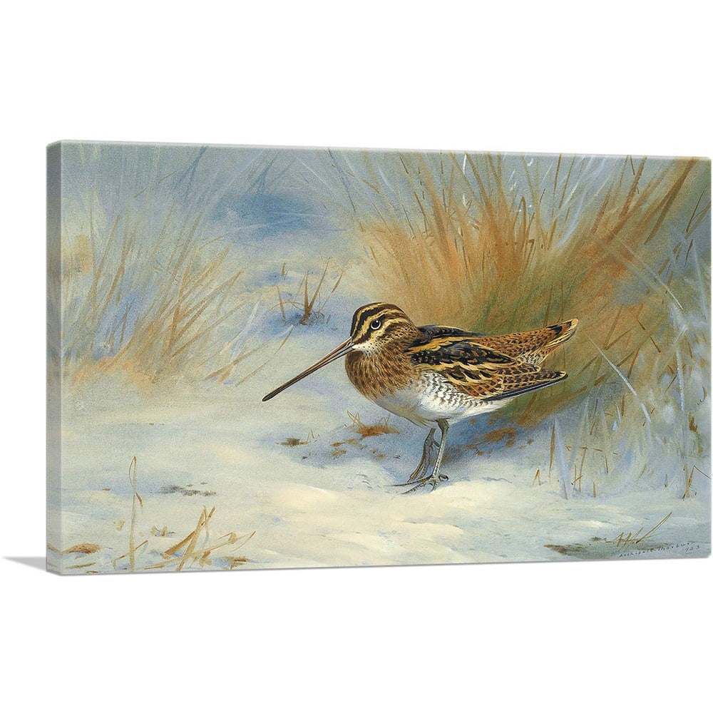 ARTCANVAS Snipe In The Snow 1923 Canvas Art Print by Archibald Thorburn ...