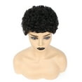 XIAQUJ Women's Trendy Short Curly Hair Wig Headgear Natural Color Human ...