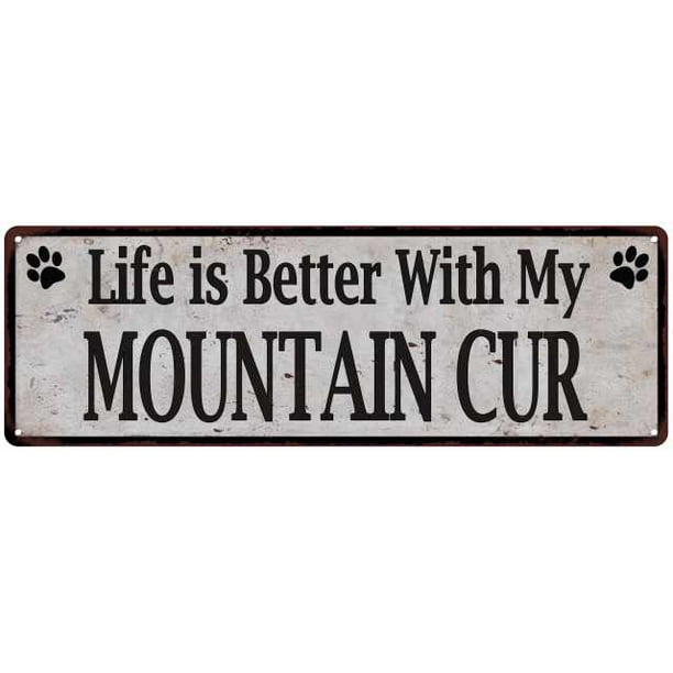 Mountain Cur