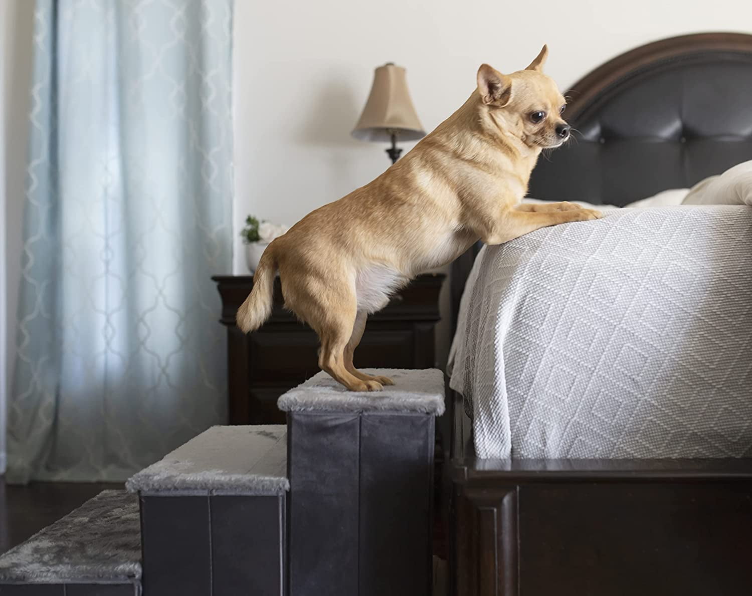 Catry Gray Dog Stair Ladder 3-Steps Sturdy with storage room Extra ...