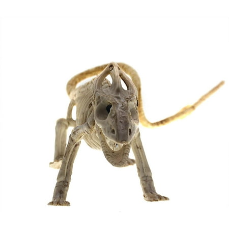 Halloween Animal Skeletons Party Decoration Lizard Spider Skeleton Prop ...