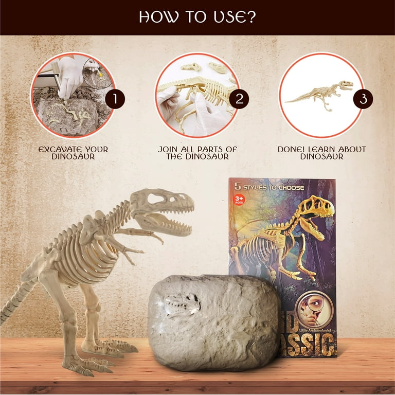Dig Out Dinosaur Fossil Discount | emergencydentistry.com