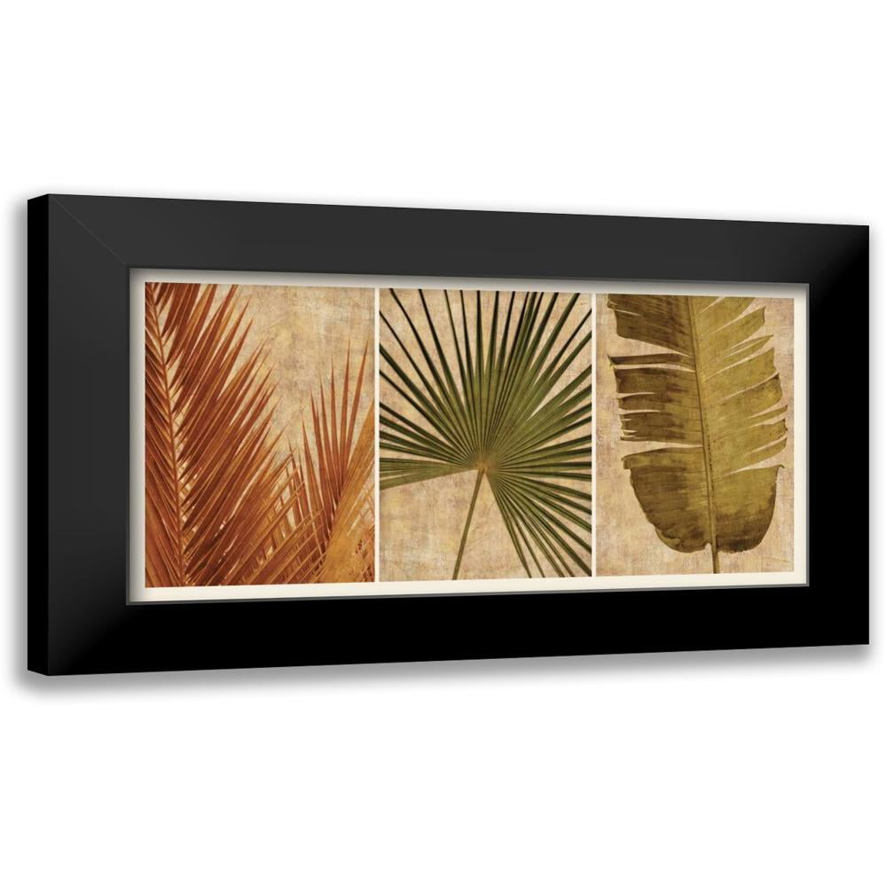 Seba, John 24x14 Black Modern Framed Museum Art Print Titled - Palm ...