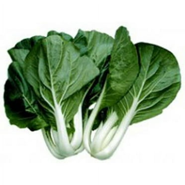 Cabbage Seeds - Pak Choi - Dwarf White Stem - 1 Oz ~10000 Seeds - Non ...