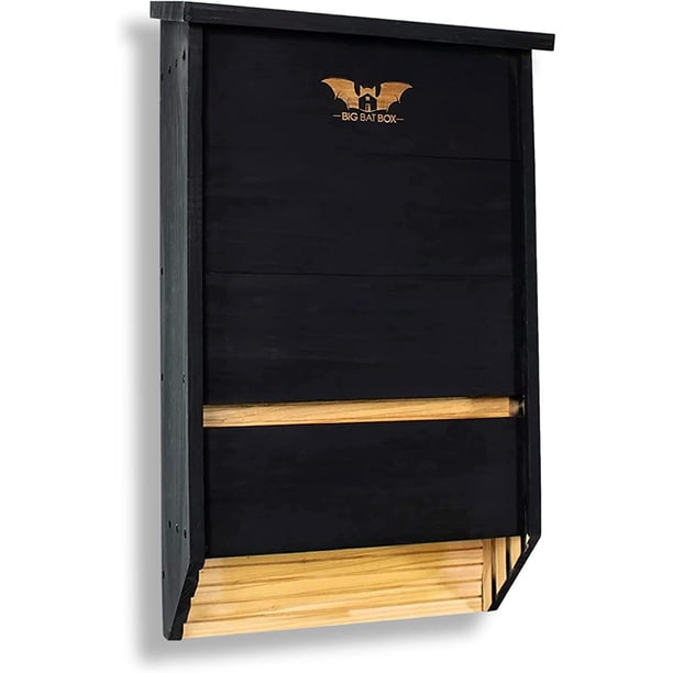 Big Bat Box- Large 3 Chamber Bat House for Outdoors - BCI Certified ...