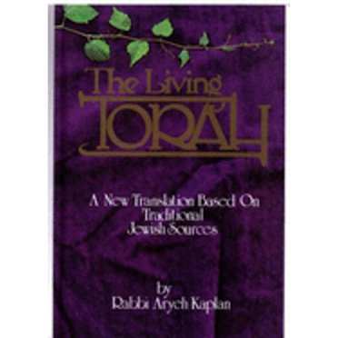 Meaning & Mitzvah: Daily Practices for Reclaiming Judaism Through ...