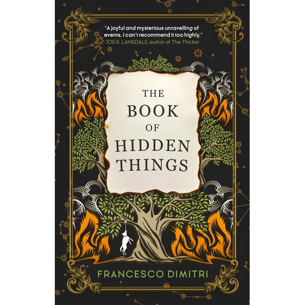 The Book of Hidden Things - Walmart.com