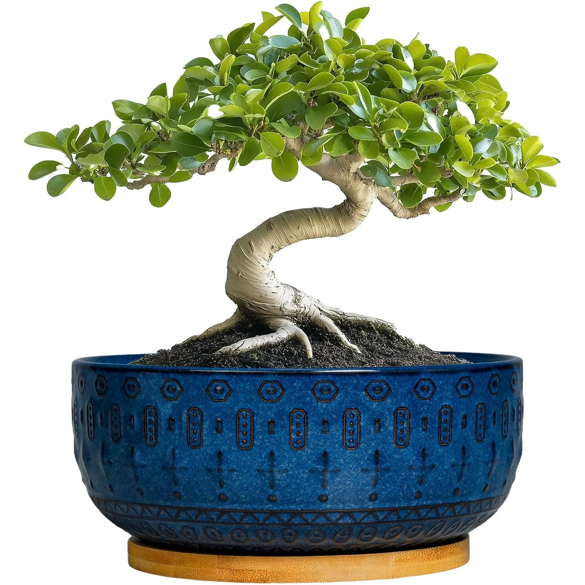 Click here for Siabc-Bonsai Pots - 8 Inch Ceramic Succulent Pots... prices