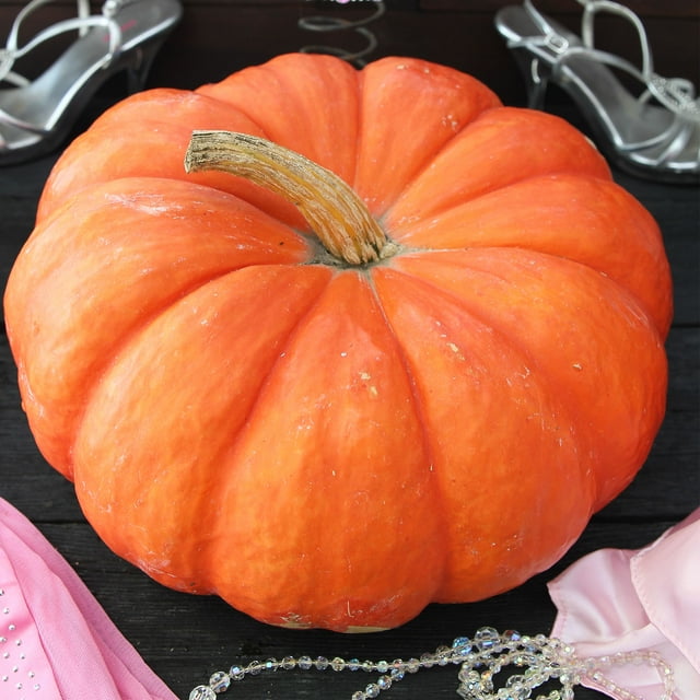 Cinderella Pumpkin Seed - 4 g ~20 Seeds - Heirloom, Open Pollinated ...