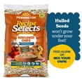 Pennington Recipe Selects Sunflower Chips Wild Bird Food, 15 lb ...