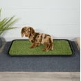 Ottomanson Pet Care Non-Slip Easy Clean Indoor/Outdoor Tray with ...