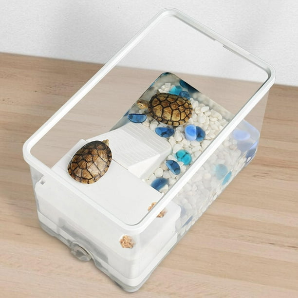 Tanque de tortugas para reptiles Fernando con filtro | Bodega Aurrera ...