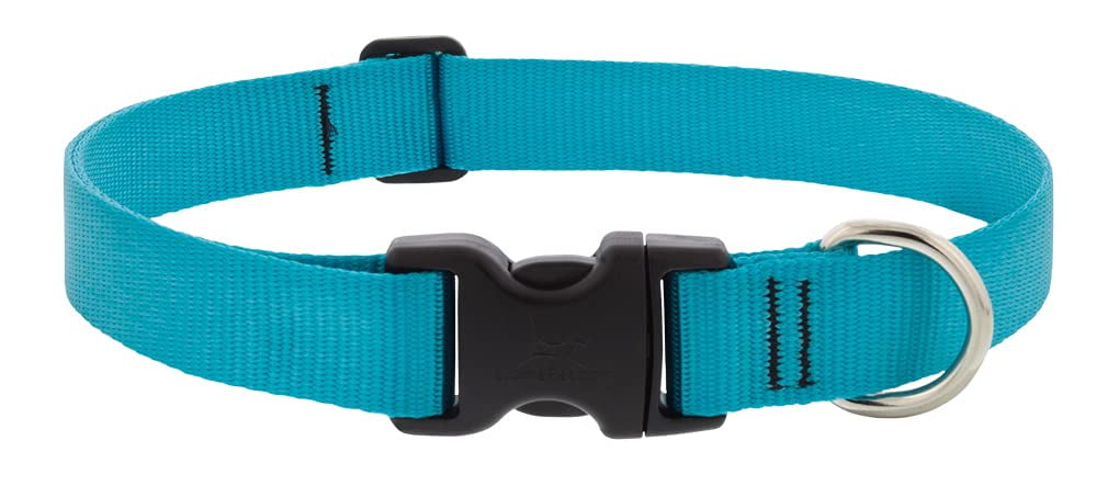Collar para perro LupinePet Aqua de 2,5 cm de ancho, ajustable entre 41 ...