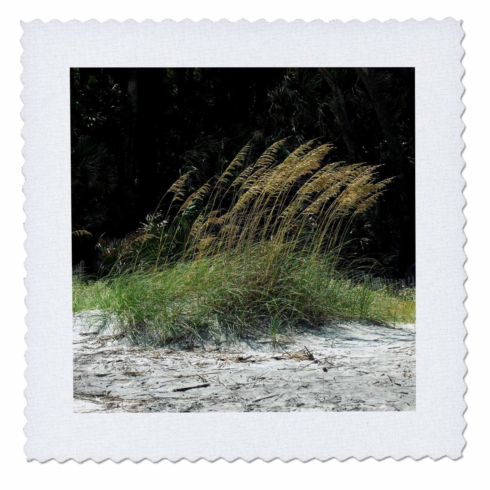 3dRose Sea Oats swaying in the ocean breeze - Quilt Square, 10 by 10 ...
